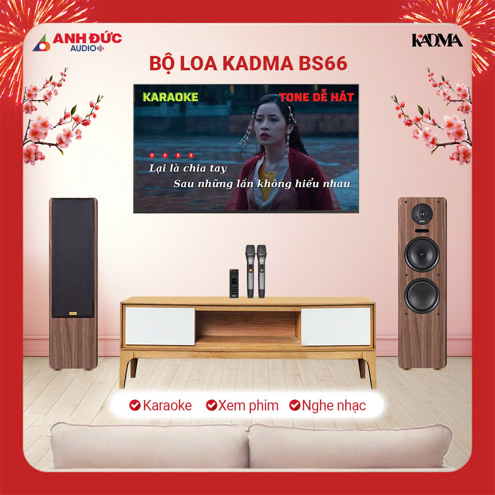 Bộ loa Kadma BS66 giá tốt - Hát karaoke, xem phim, nghe nhạc